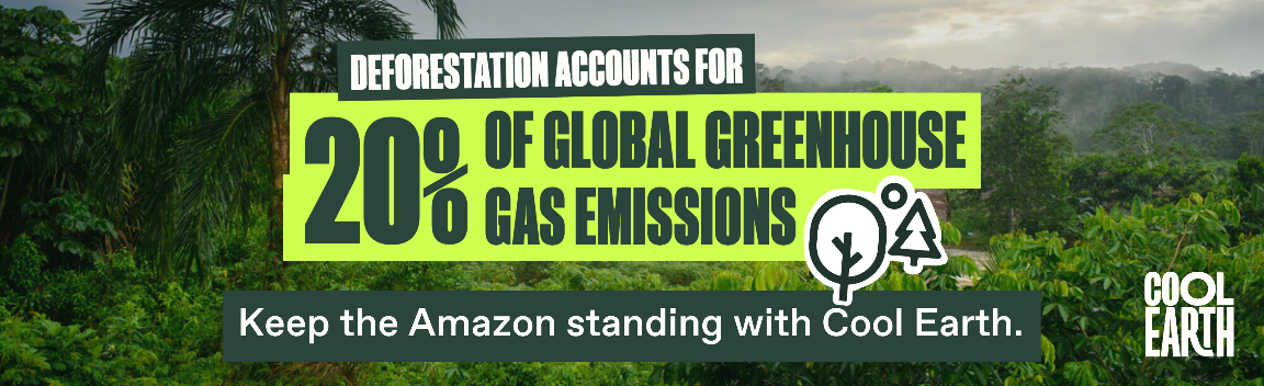 Take Climate Action and Protect the Amazon With Us – Big Give