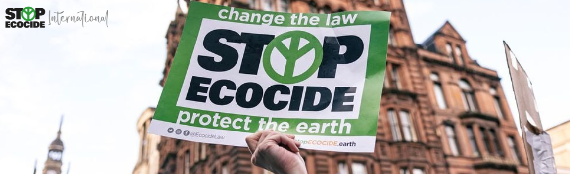 Let's make ecocide an international crime! – Big Give