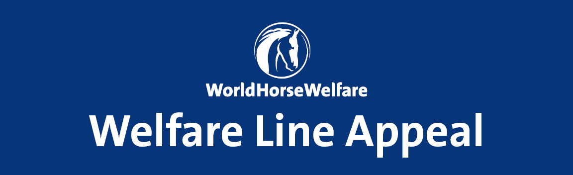 Welfare Line Appeal