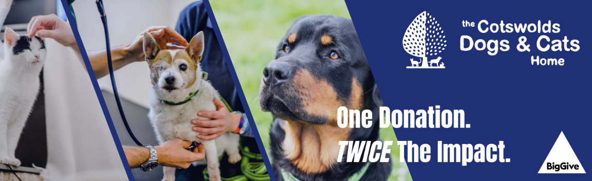 Emergency Support for Pets in our Community – Big Give