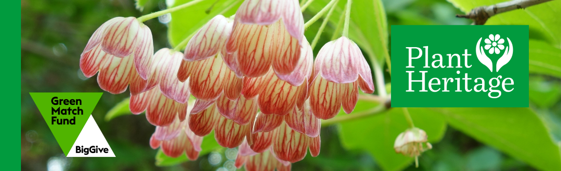 Protect the National Plant Collections – Big Give