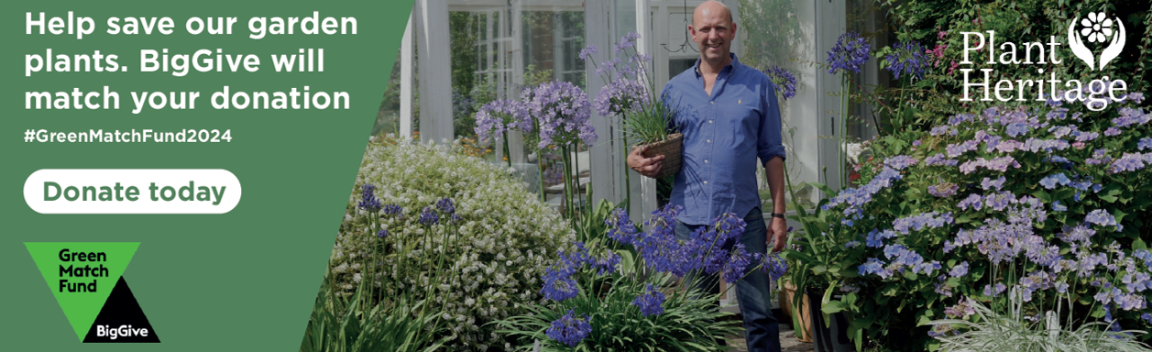 Help us save our garden plants – Big Give