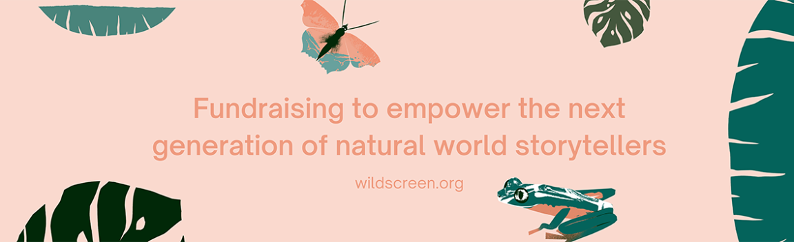 Empowering the next generation of natural world storytellers – Big Give
