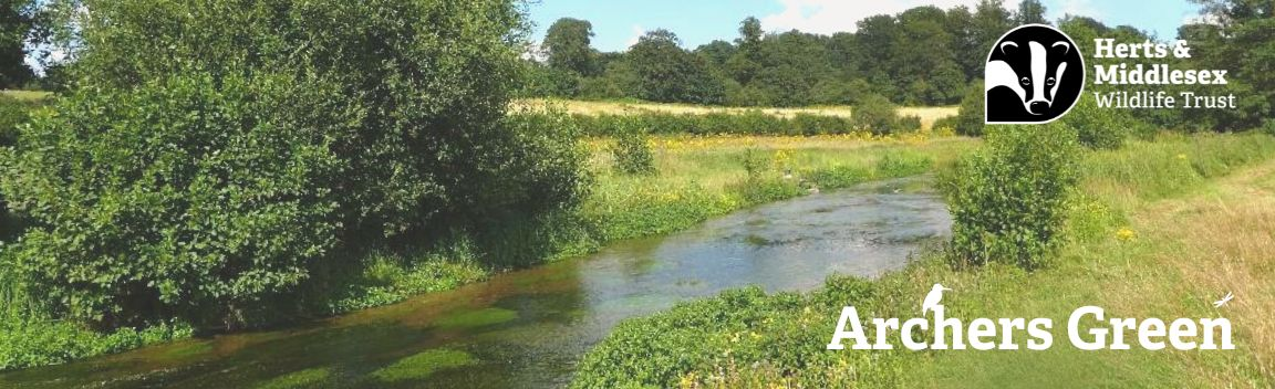 Help us buy and protect Archers Green – Big Give