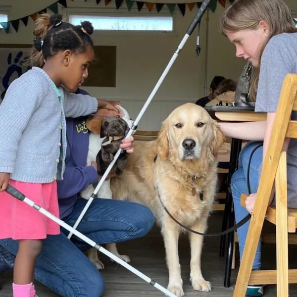 LOOK Mentoring for visually impaired children – Big Give