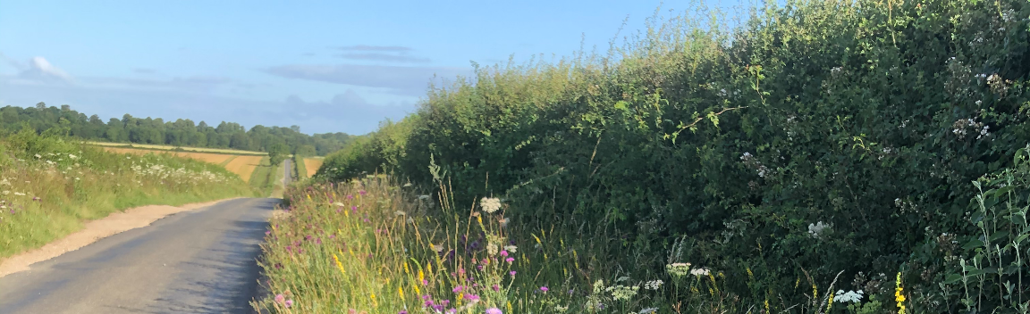 Oxfordshire Hedges and Edges – Big Give