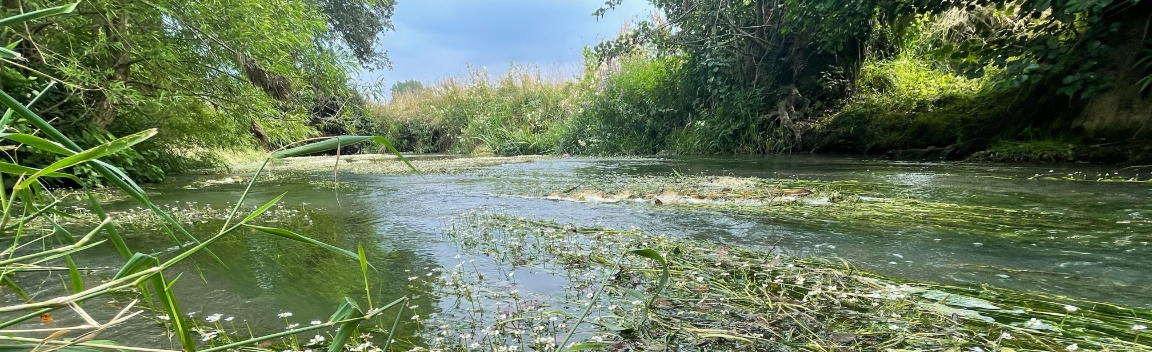 River Evenlode; Water quality matters – Big Give