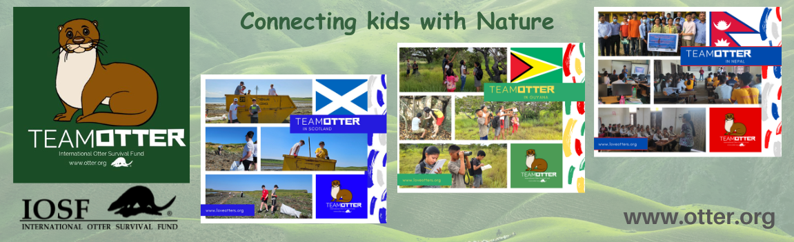 IOSF's Team Otter Education Programme – Big Give