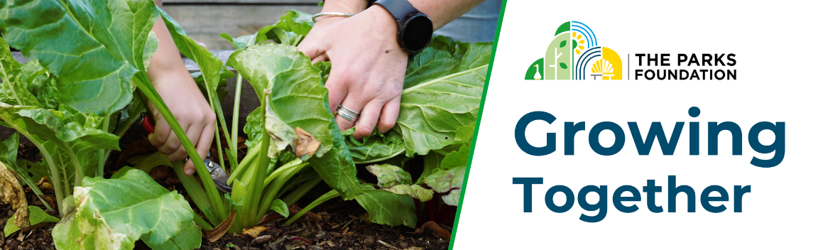 Growing Together: Community Food Growing Project – Big Give