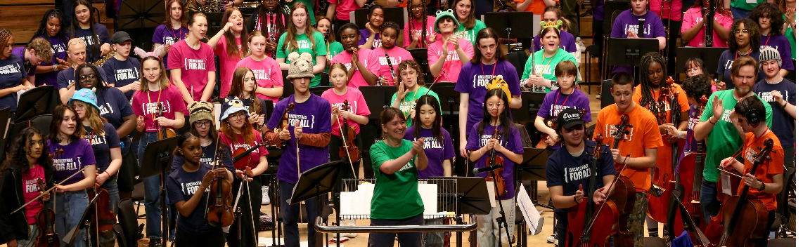 National Orchestra for All – Big Give