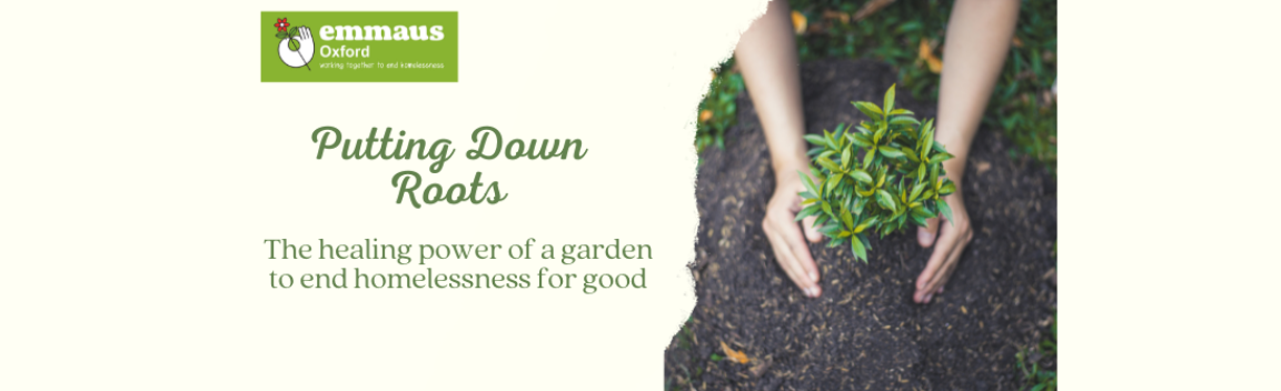 Putting Down Roots – Big Give