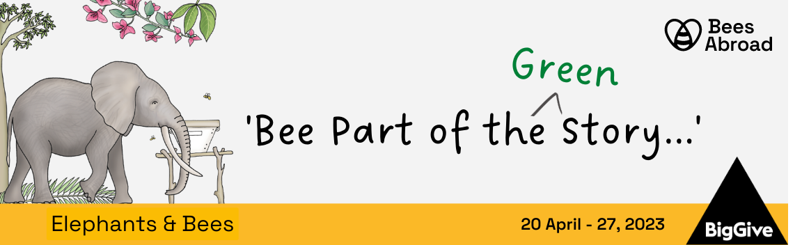 Elephants and Bees – Big Give