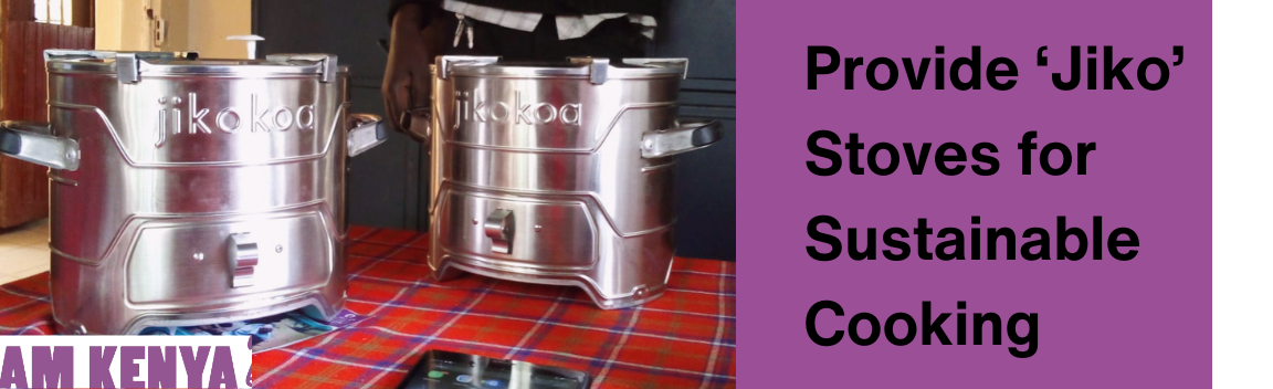 Efficient cooking stoves and sustainable charcoal. – Big Give