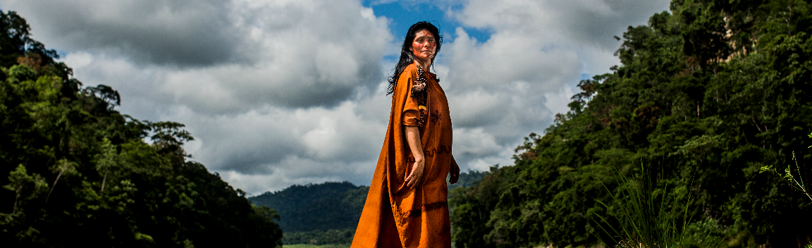 Indigenous Communities Together Conserve Forests – Big Give