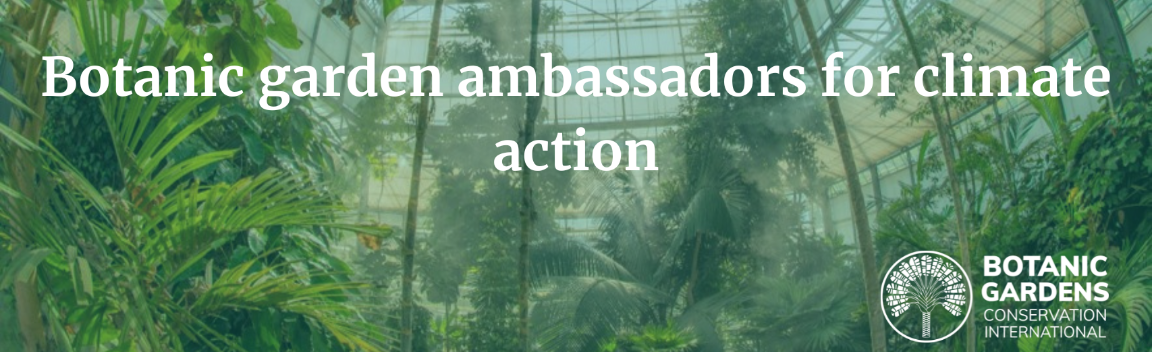 Botanic garden ambassadors for climate action – Big Give