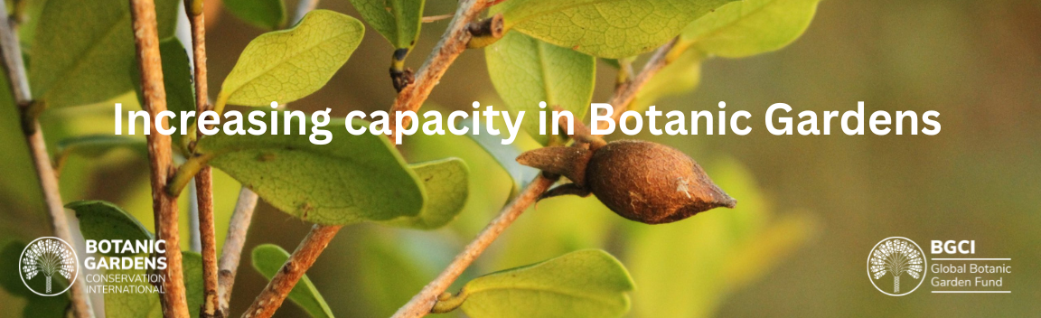 Increasing capacity in Botanic Gardens – Big Give