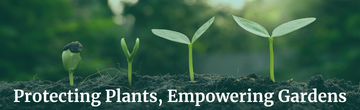 Protecting Plants, Empowering Gardens – Big Give