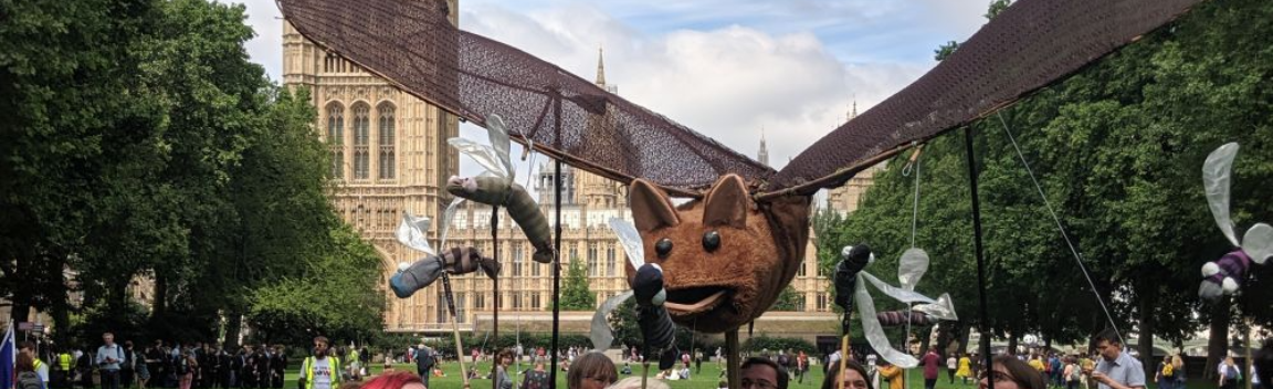 A voice for bats – Big Give