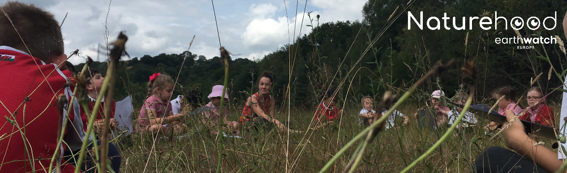 Naturehood activity boxes for schools – Big Give