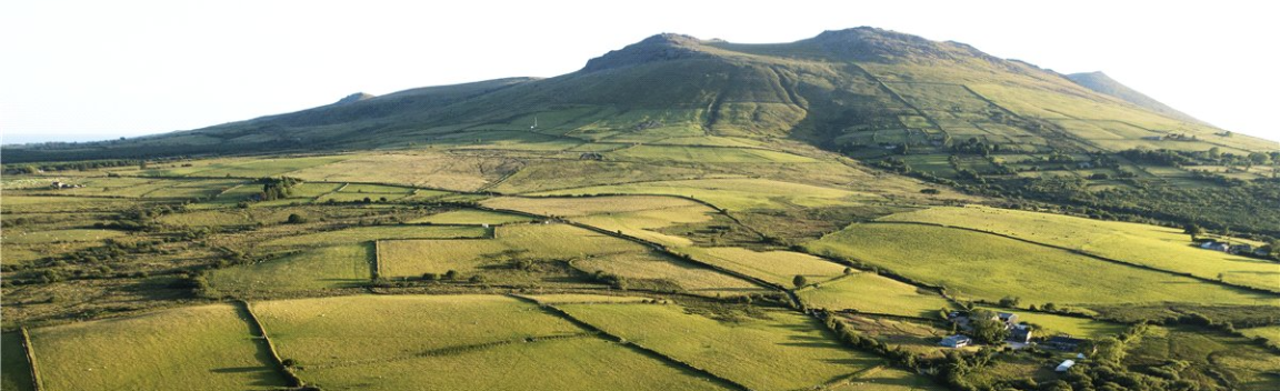 Bryn Ifan: a vision for nature in Wales – Big Give