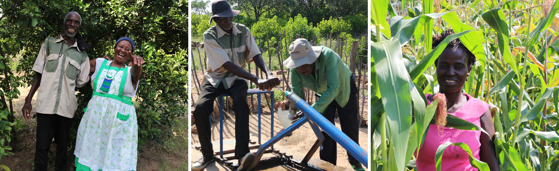 Strengthening community resilience in Zimbabwe – Big Give
