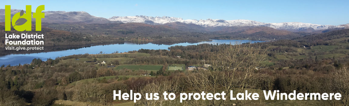 Help us to protect Lake Windermere – Big Give