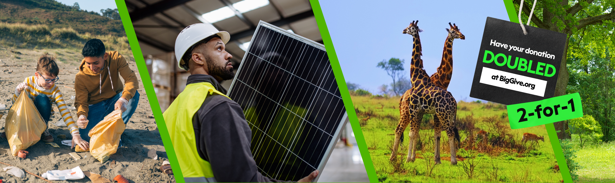 Green Match Fund 2025 – Big Give
