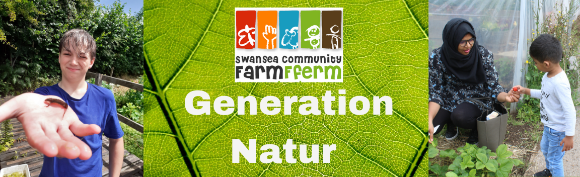 Generation Natur – Big Give