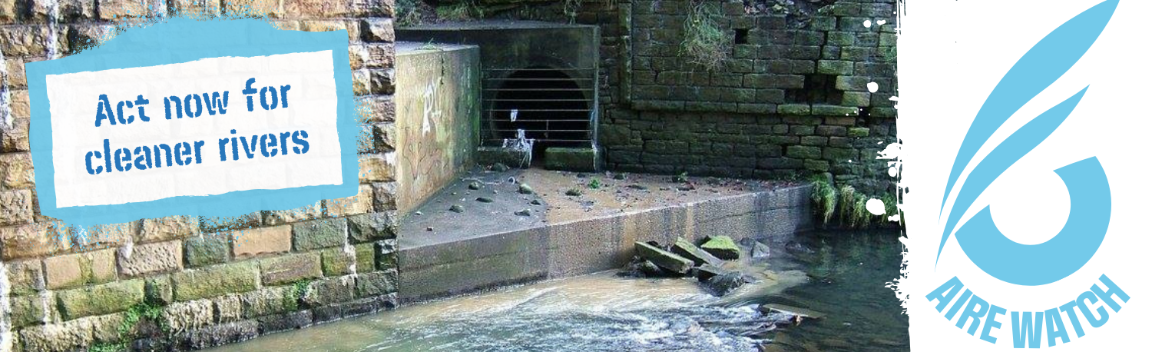 Aire Watch: Pollution spotting along the River Aire – Big Give