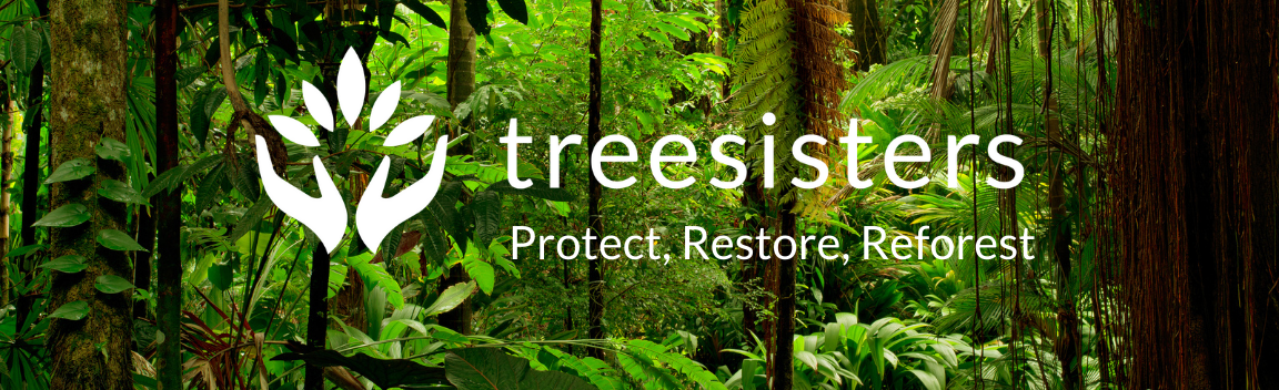 TreeSisters: Protect, Restore, Reforest – Big Give