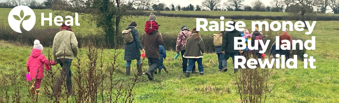 Rewilding for communities and nature – Big Give