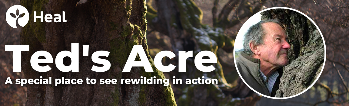 Ted's Acre: celebrating the work of Ted Green MBE – Big Give