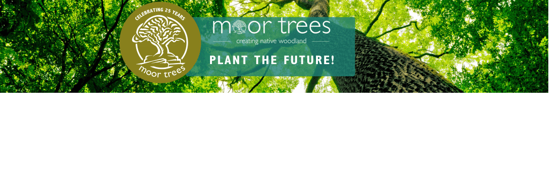 Plant the Future: 25 Years of Moor Trees – Big Give