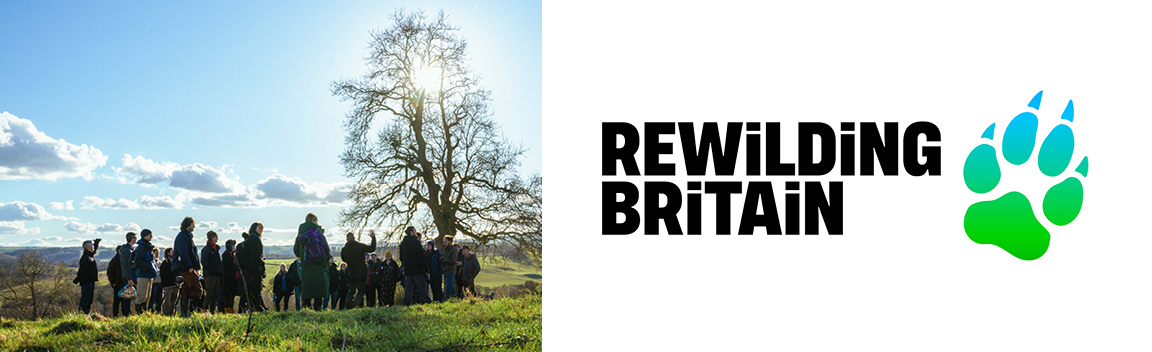 Rewilding together for a wilder future – Big Give