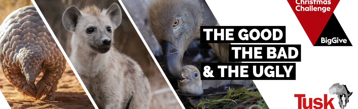 Protect The Good, The Bad and The Ugly! – Big Give