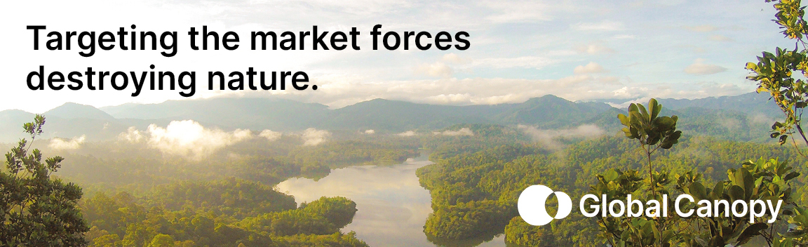 Transforming markets to save tropical forests – Big Give