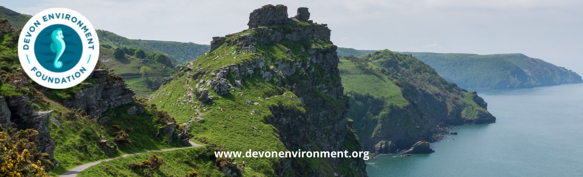 DEVON ENVIRONMENT FOUNDATION