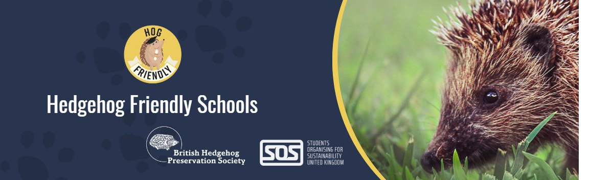 Hedgehog Friendly Schools – Big Give