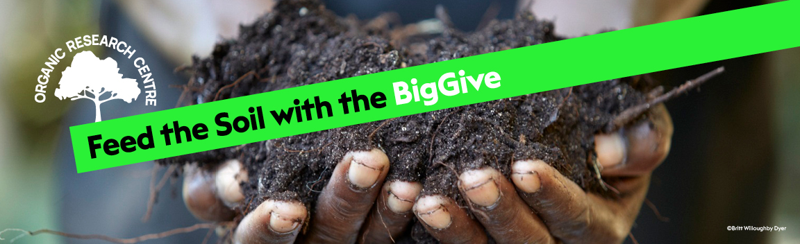 Feed the Soil with The Land Gardeners – Big Give