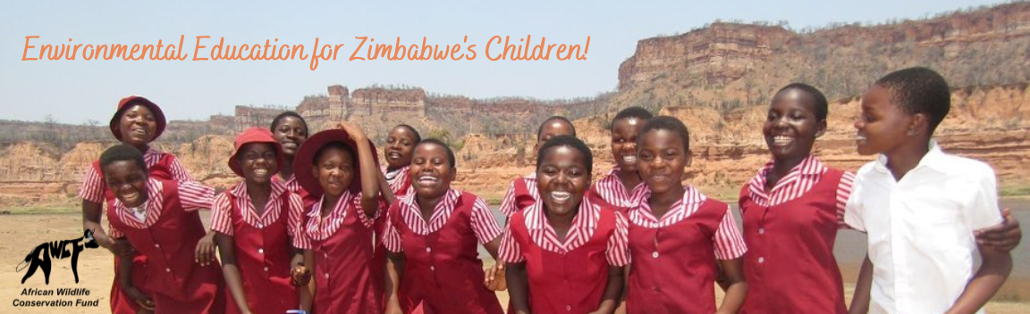 Environmental Education for Zimbabwe's children! – Big Give