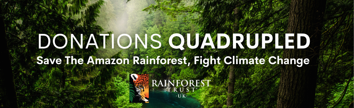 QUADRUPLE Your Donation For The Amazon Rainforest! – Big Give