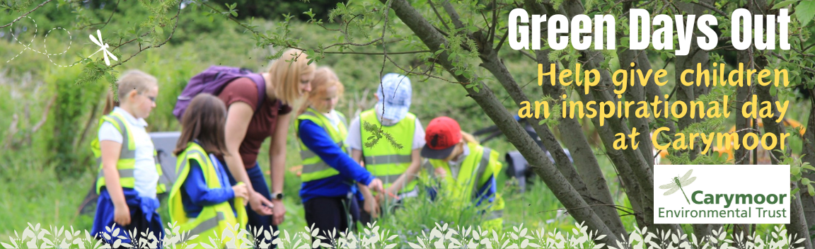 Green Days Out at Carymoor – Big Give