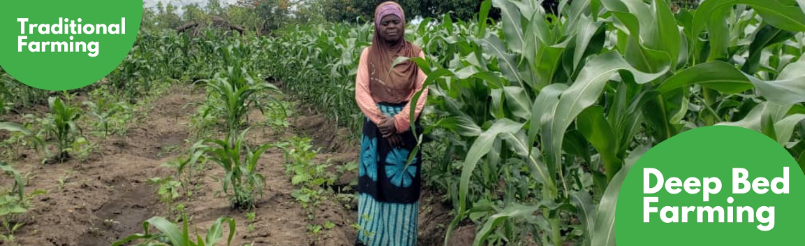 Sustainable Farming Training for Africa’s Future – Big Give