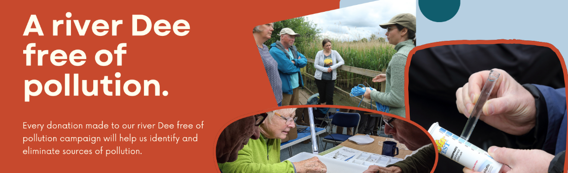 A pollution free river Dee – Big Give