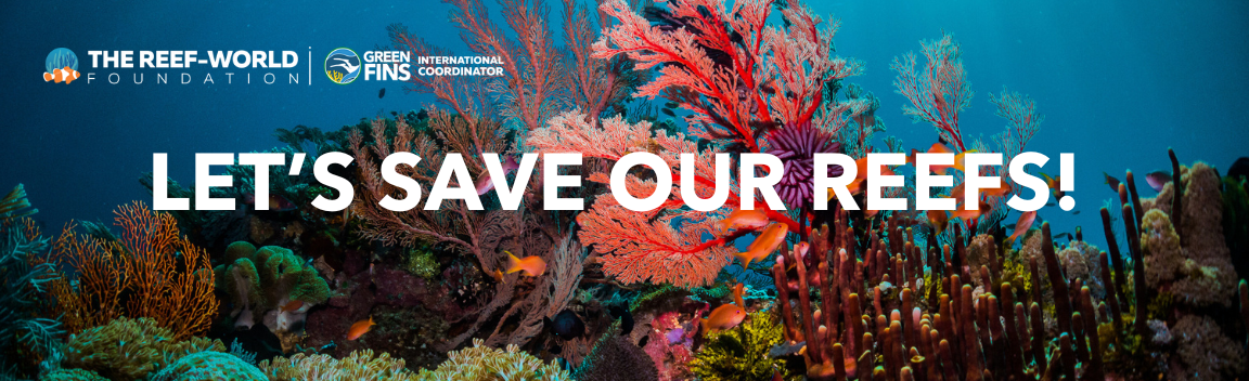 Let's save our reefs! – Big Give