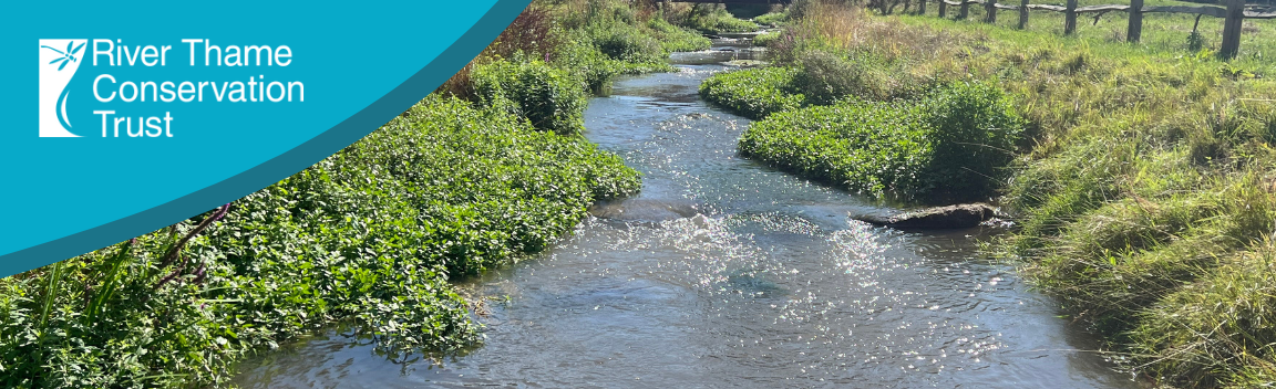 Save the Thame: Restoring Species & Habitats – Big Give