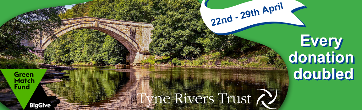 Better River, Better Region, Better Life for All – Big Give