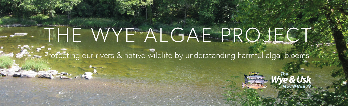 The Wye Algae Project – Big Give