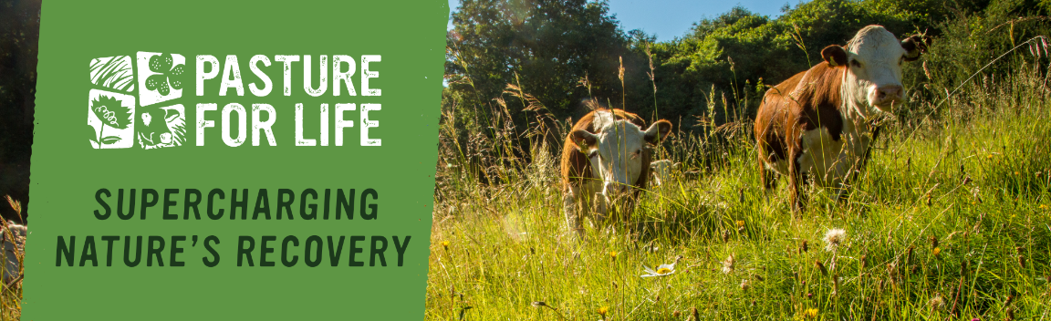 Pasture for Life - supercharging nature's recovery – Big Give
