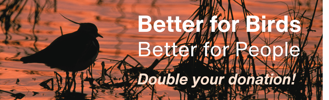 Sidlesham Ferry Pool and Field – Big Give